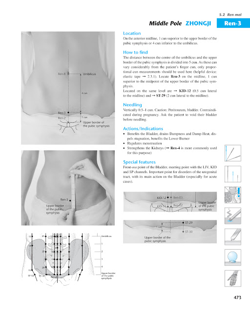 Acupuncture Masters: Acupuncture Points Database - Ren Channel