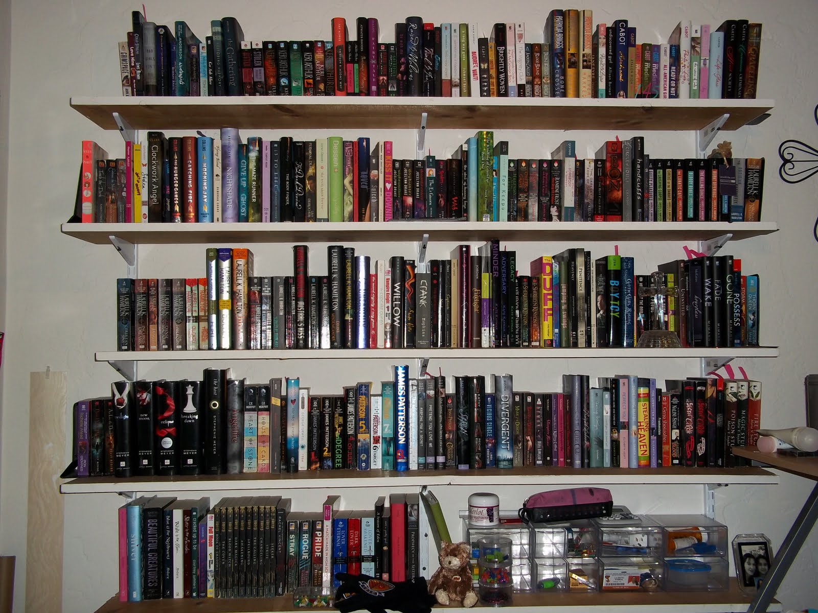 ChicaReader: Bookshelf Tour