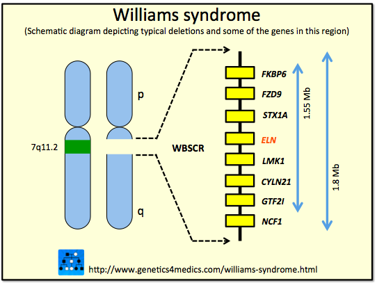 Williamsův syndrom: 2017