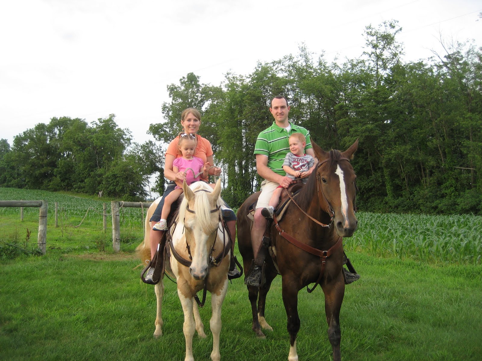 Hawk Family: Riding horses