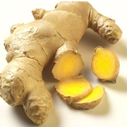 EL KION O JENGIBRE | FRUTOS EXOTICOS DE LA SELVA PERUANA