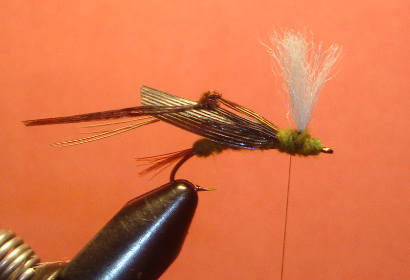 ~StreamSide Tales~: Hip-Hopper Tute