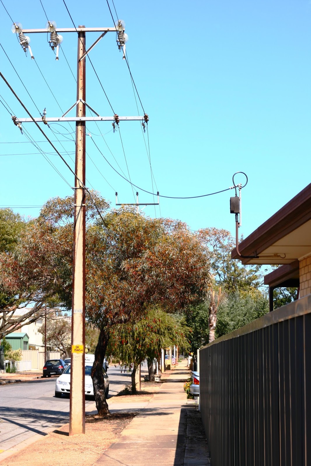 cakecrush-on-the-town: Stobie Poles with Adelaide Matt!