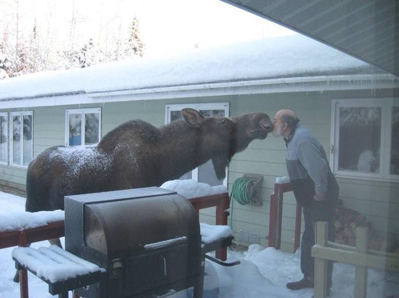 Jesse, Stacey & Maximus: Moose Size