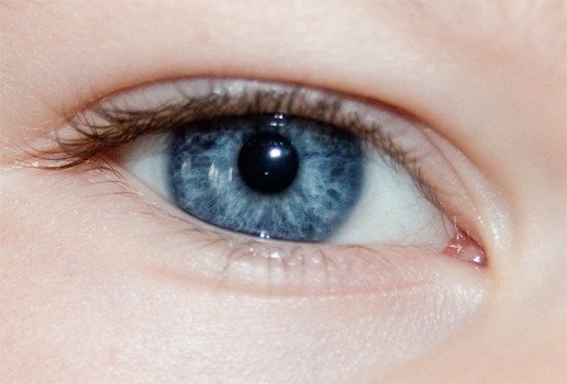 Snails and Puppy Dog Tails: I've Got My Eye on You