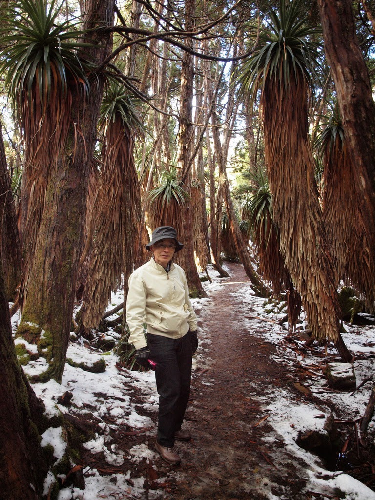 Toshio in Tasmania: DAY 5 Mount Field NP