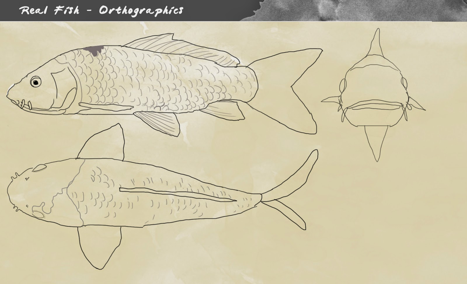 Vikki Kerslake: October 2014