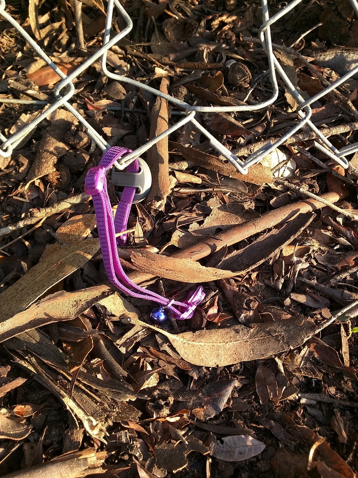 The Dog Geek: Caturday: TabCat Sent Us a TabCat!