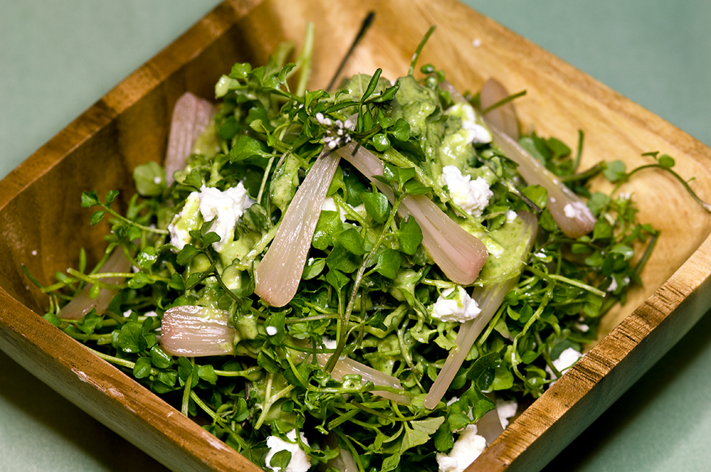 The 3 Foragers: Foraging for Wild, Natural, Organic Food: Hairy ...