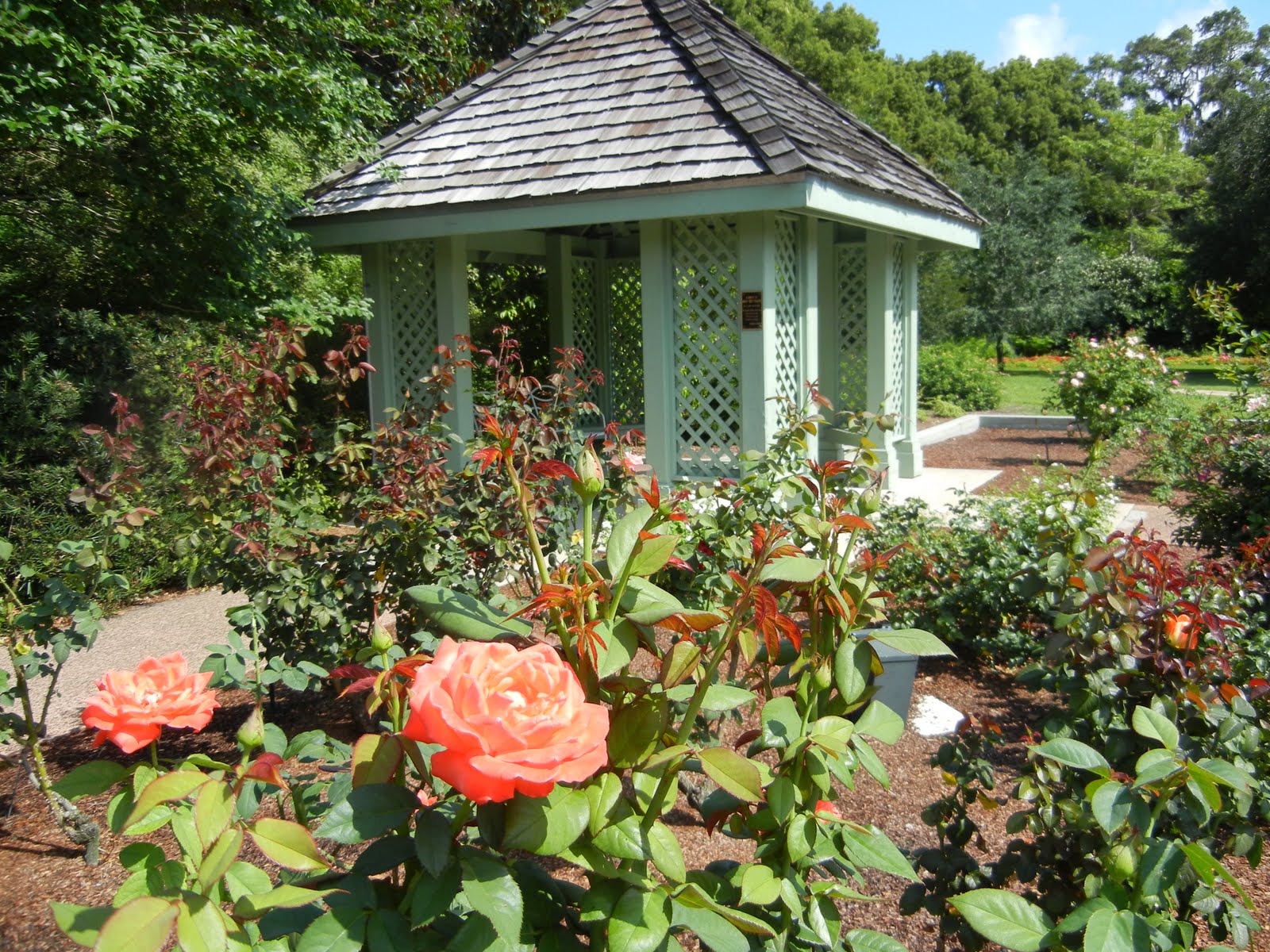 Picture Perfect: Harry P. Leu Gardens in Orlando, FL