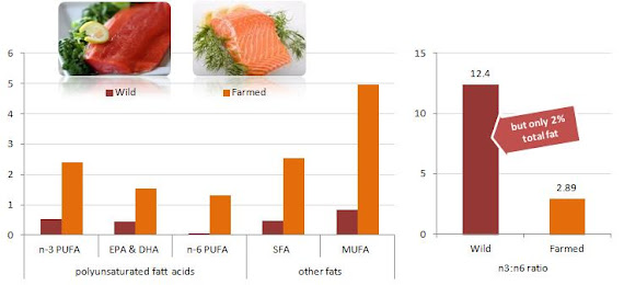 Making the Right Fish Choices: Fatty Acid Contents of 33 Different Fish ...