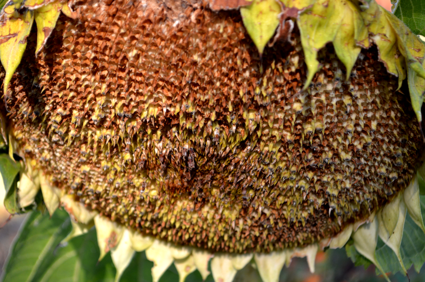 Art Threads: September 2017