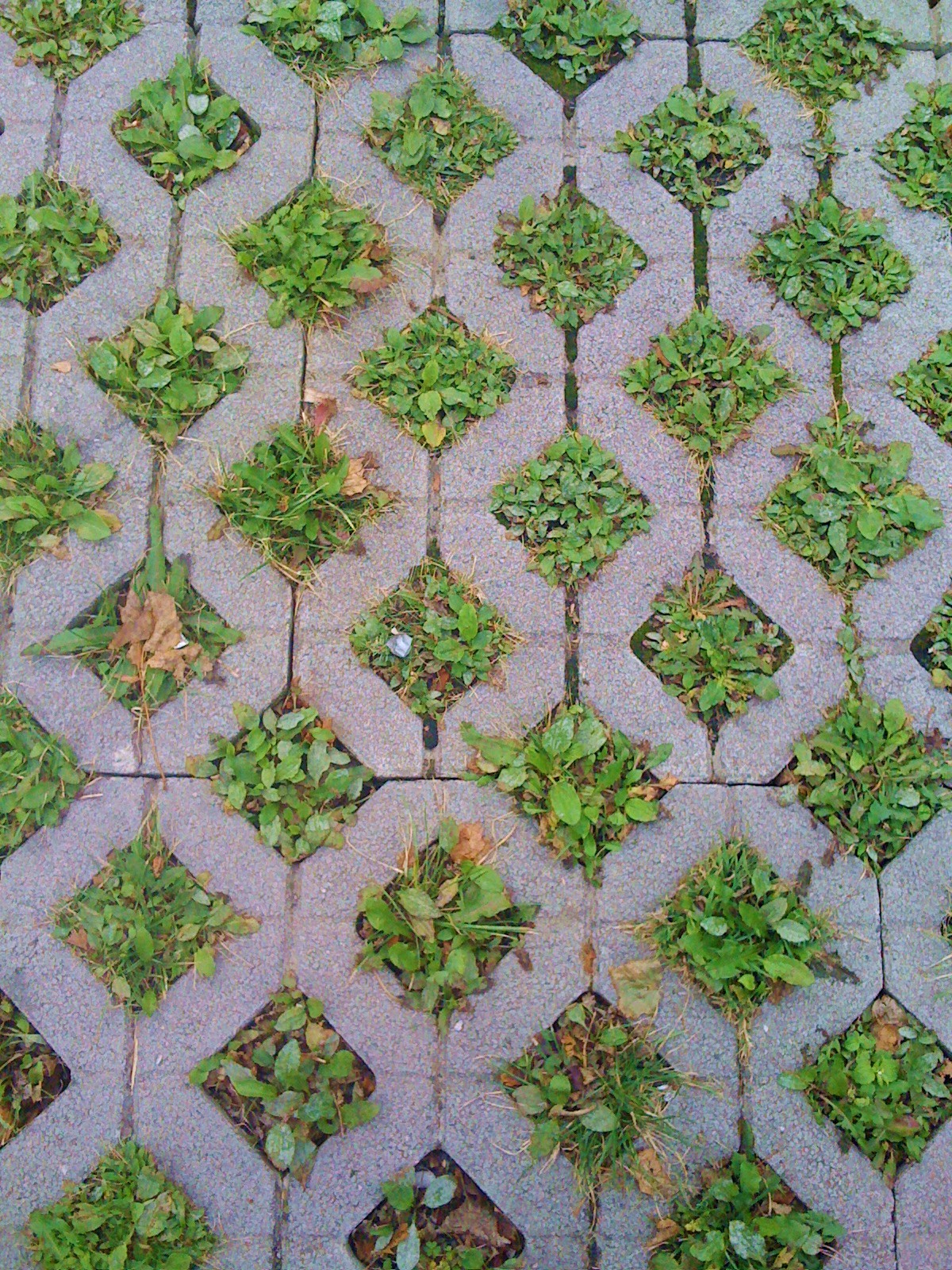 The Journey is the Reward: The Ground Below My Feet