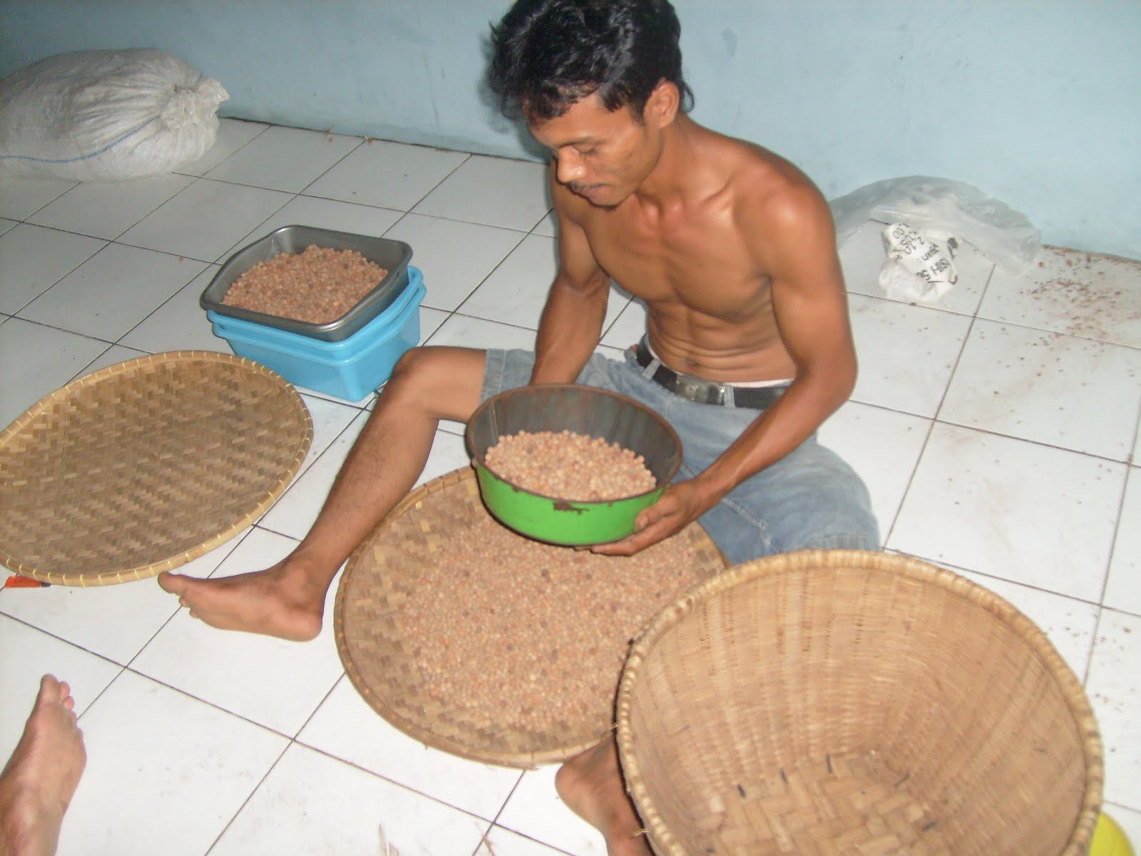 Jenitri Kebumen: GENITRI INDONESIA