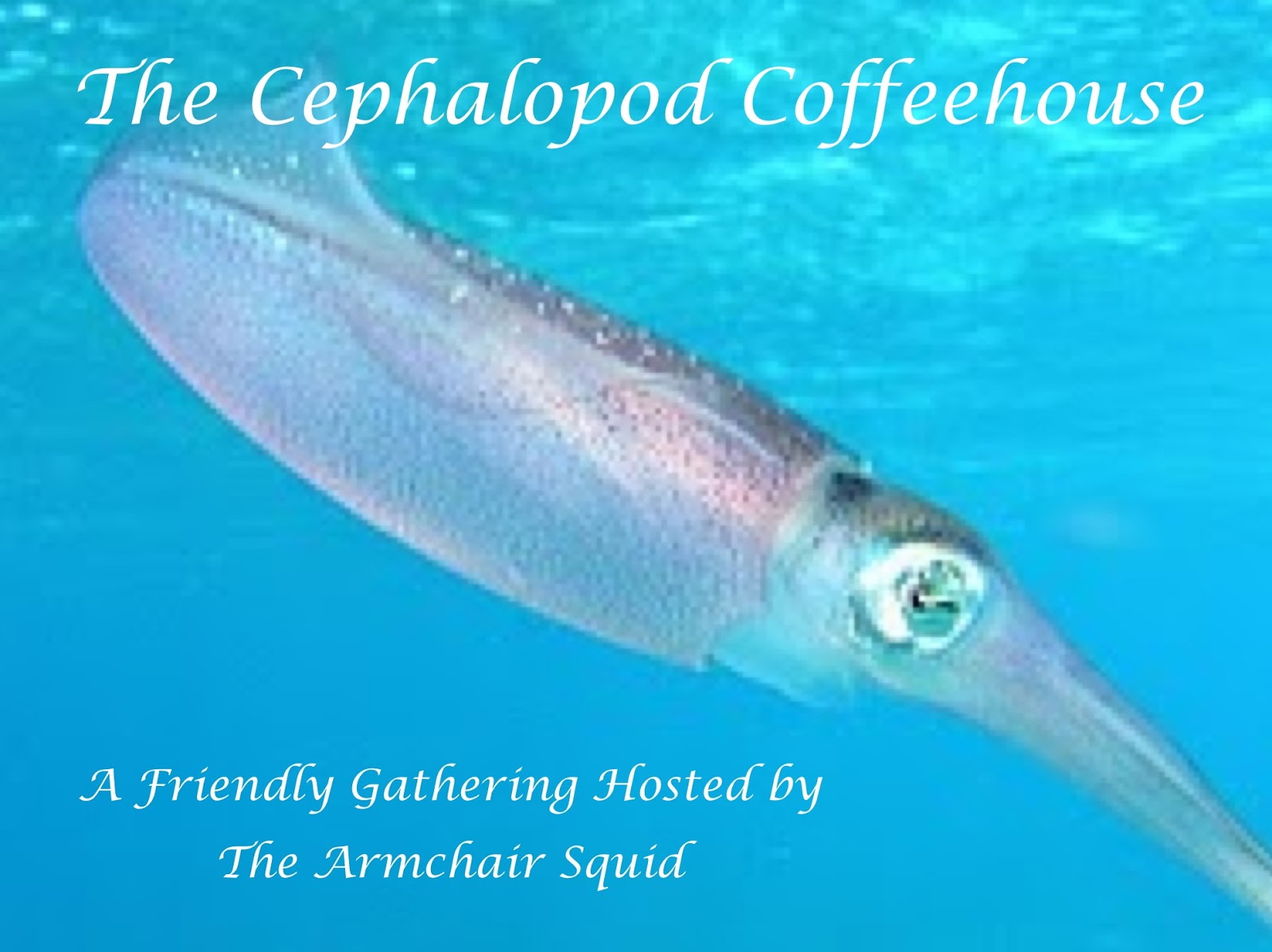 Julie Flanders, Writer: Soul Cutter Cover Reveal, Favorite Quotes, and ...