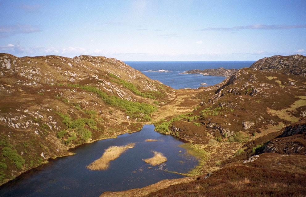 Marc Calhoun: South Rona is Popular