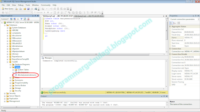 Belajar SQL Server : Dasar - Dasar SQL Server ~ Programmer Galau Lagi