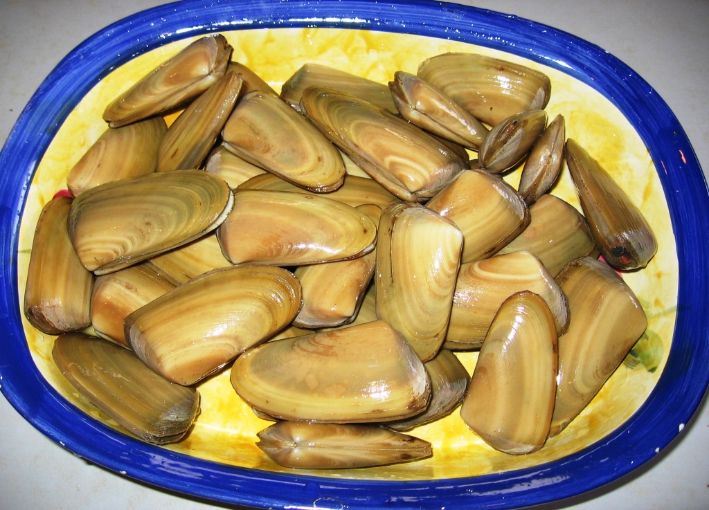 Historia, Cultura y Comida Chilena: Machas a la parmesana