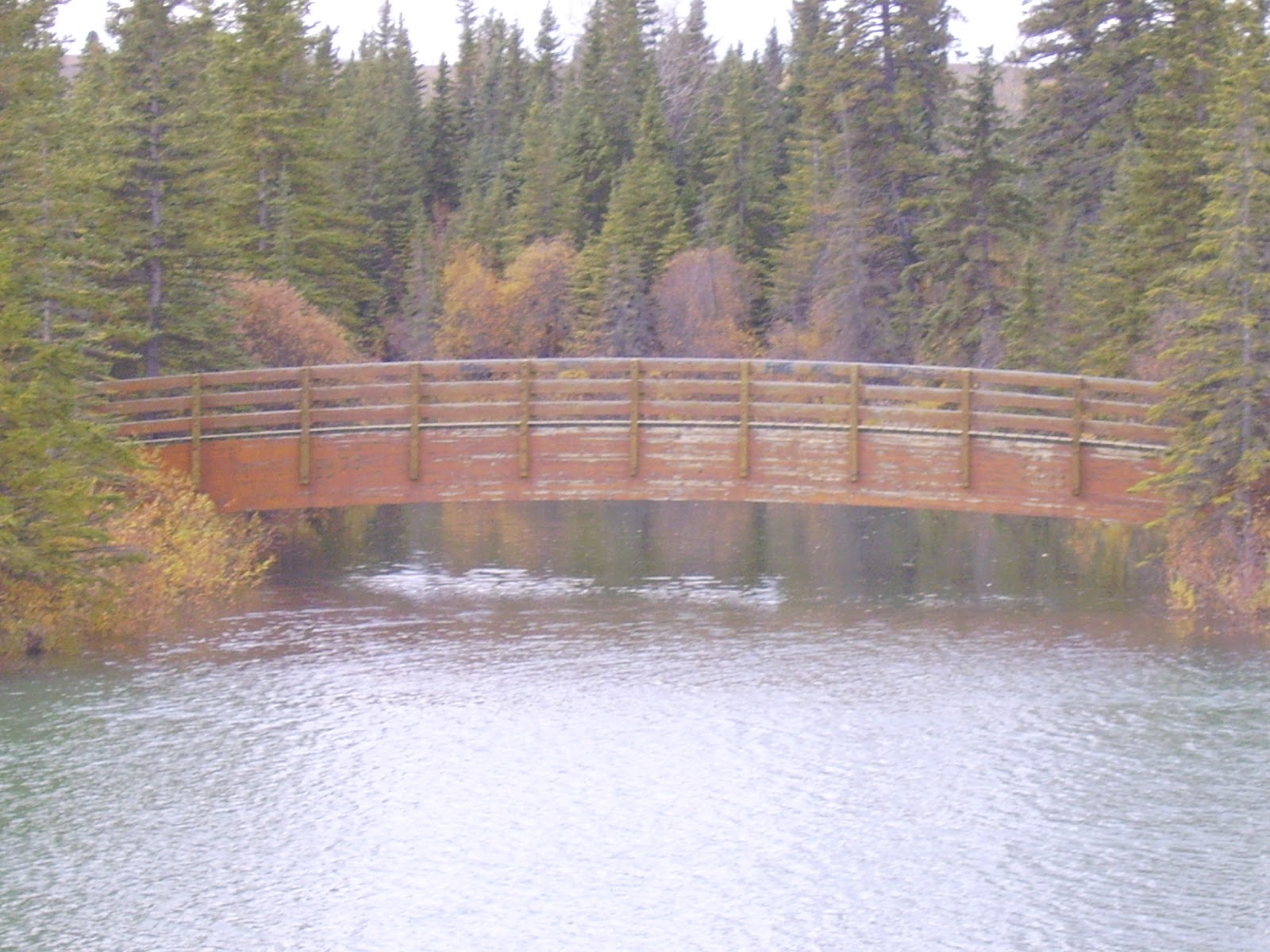 THE WORDSMITH MILL: Weaselhead And Glenmore Park Showcased ( Calgary ...