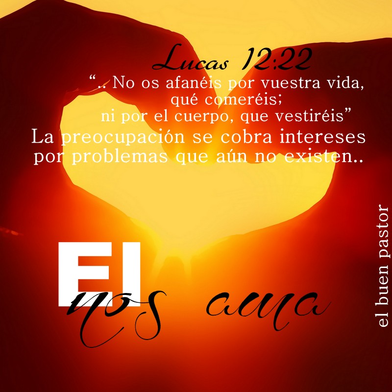 YO SOY EL BUEN PASTOR: Lucas 12:22