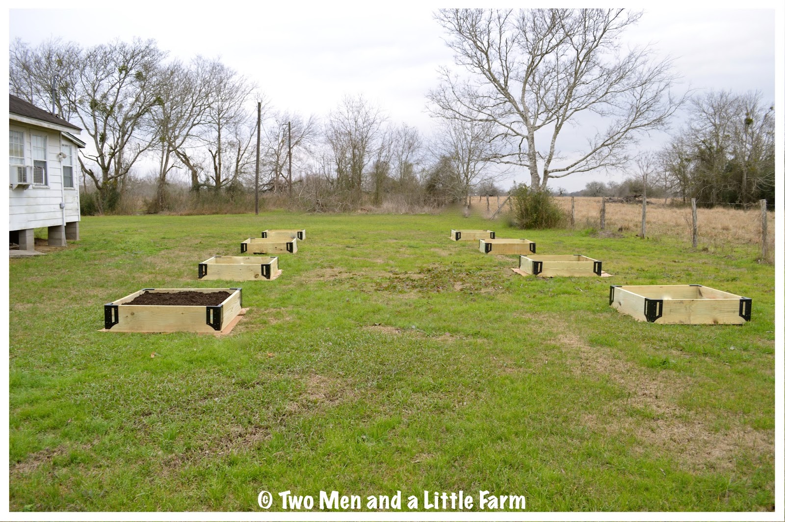 Two Men and a Little Farm: RAISED BED FRUIT TREES PART TWO
