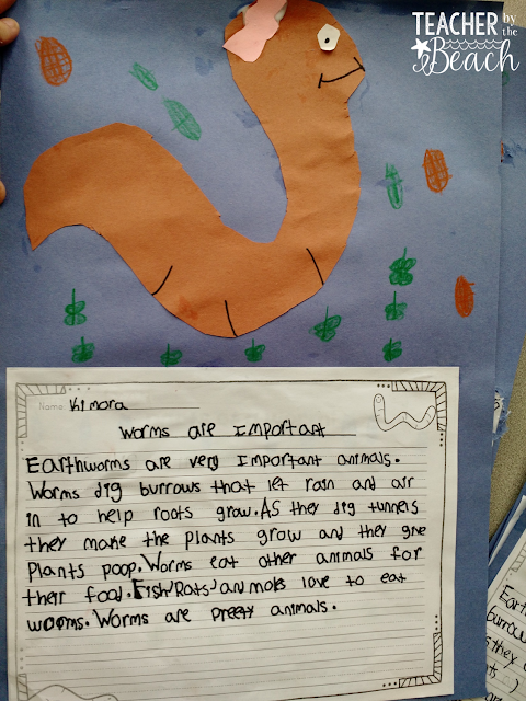 Fun with WORMS! - Teacher by the Beach