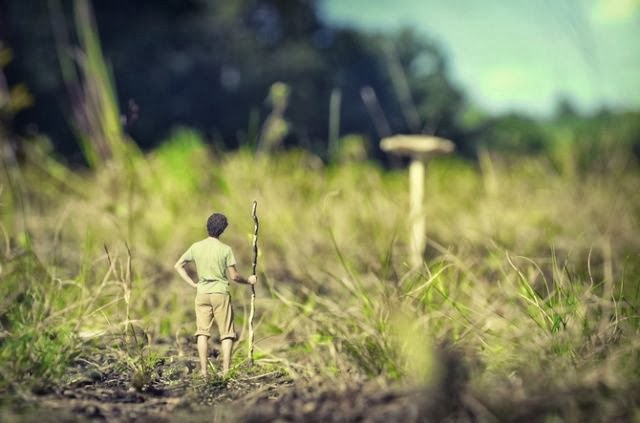 FOTOGRAFIA DIGITAL: Fiddle Oak