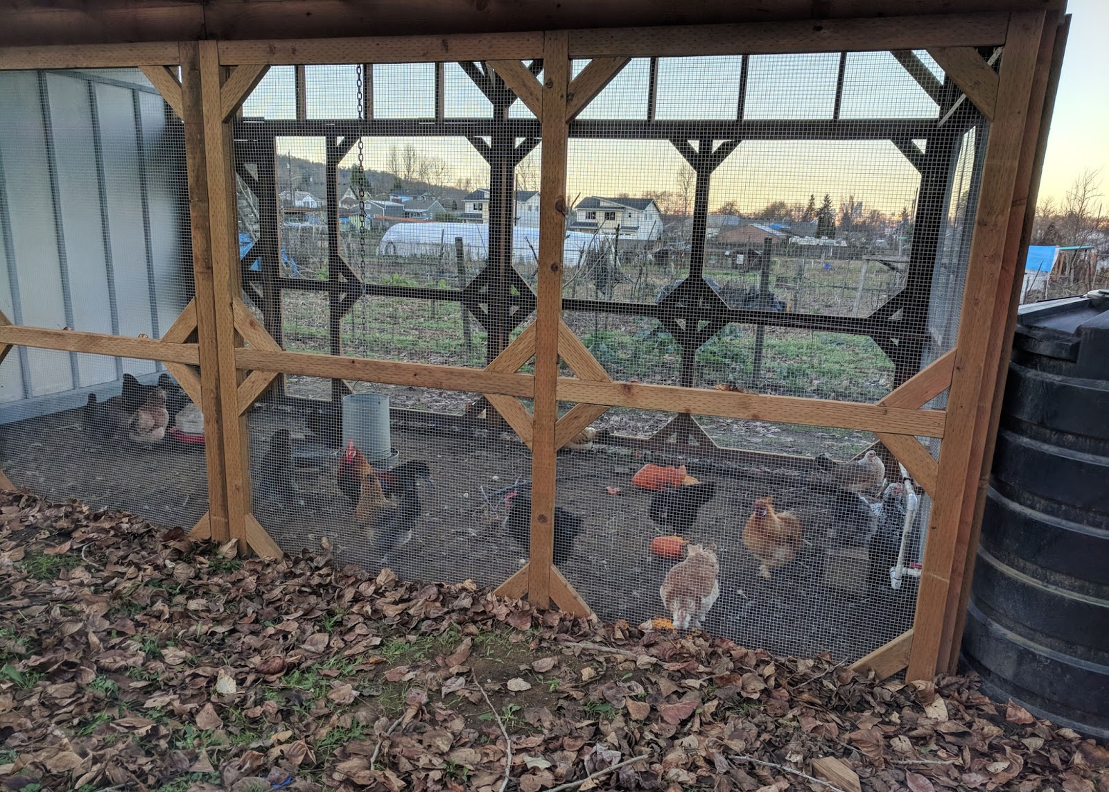 Eden By The Bay: Marra Farm Community Garden