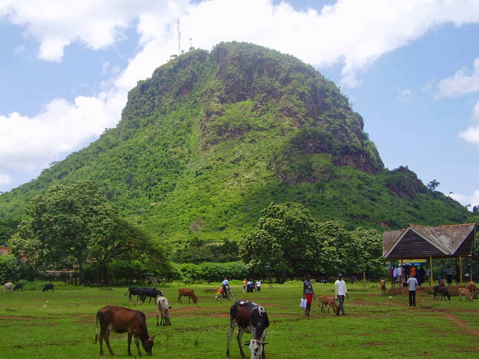 This Life: Going places in Uganda