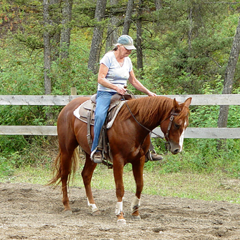 Reining Training Tips ~ ~: Neck Reining 101