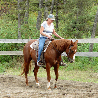 Reining Training Tips ~ ~: Neck Reining 101