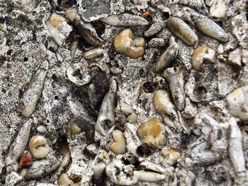 The Concrete Block of Human Teeth in Elkhart | Amusing Planet