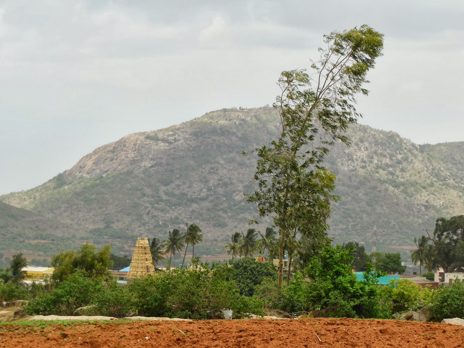 Yatra Tatra Sarvatra .......Trips of Alok: Ghati Subramanya