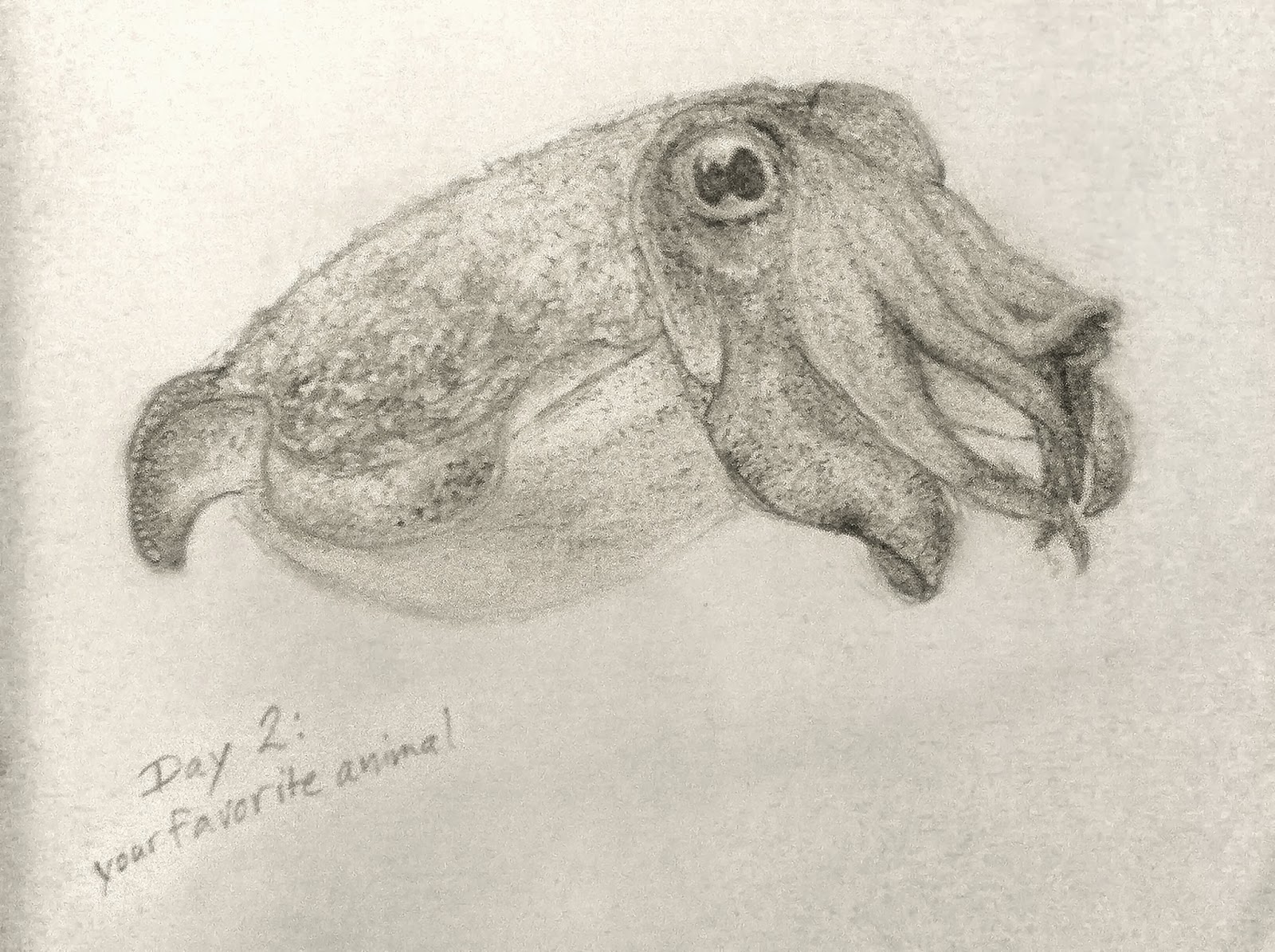 Finesse Arts: 30 Day Drawing Challenge: Days 2 and 3