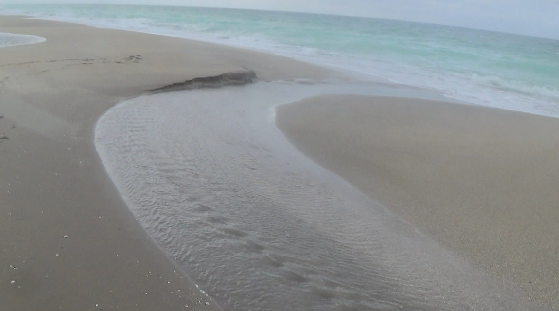 The Treasure Beaches Report Direct From Florida's Treasure Coast.: 1/2 ...