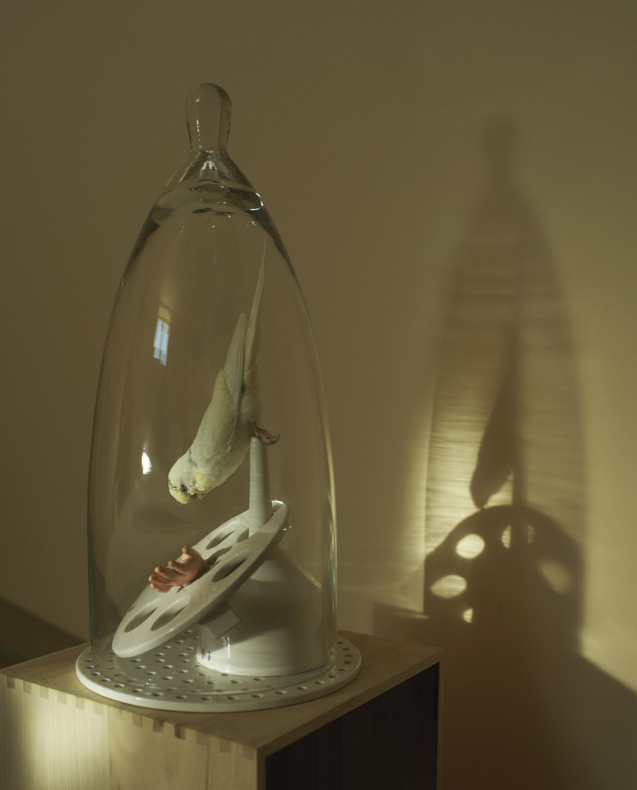 natasha nicholson: SCULPTURE