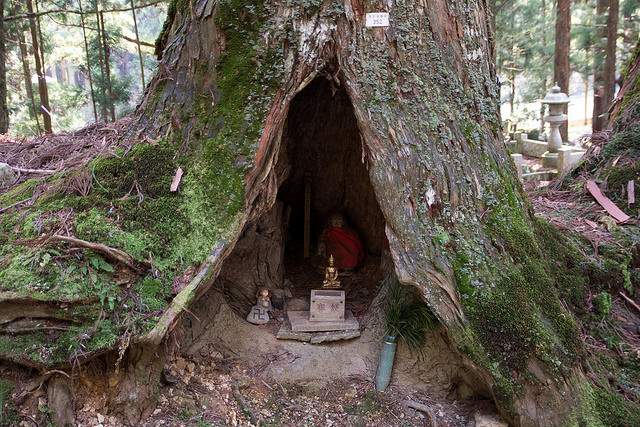 Treasures of Kyoto: Discover Kyoto's Temples