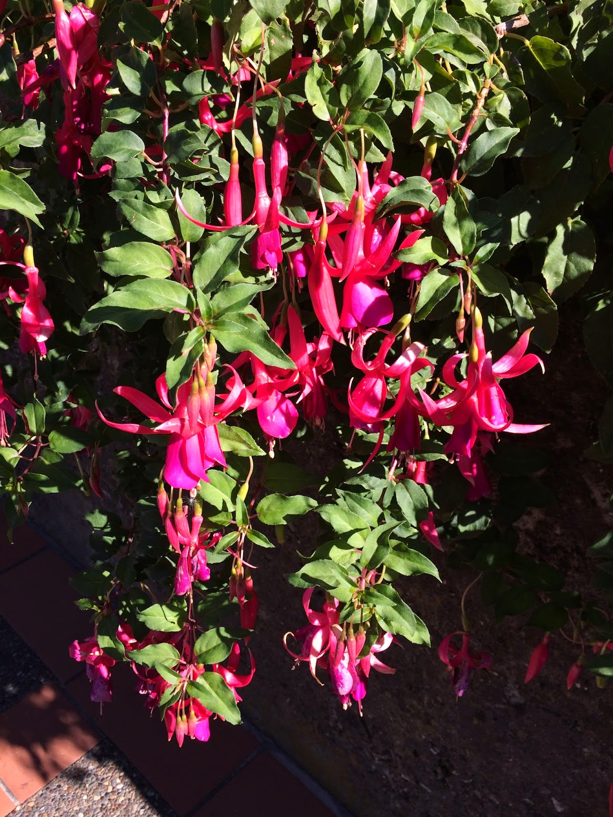 Thinking Pink: Hearst Castle