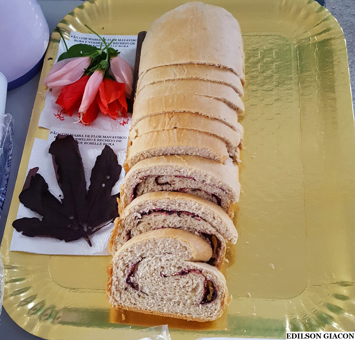 Viveiro Ciprest - Plantas Nativas e Exóticas: Malvavisco Rosa ou ...