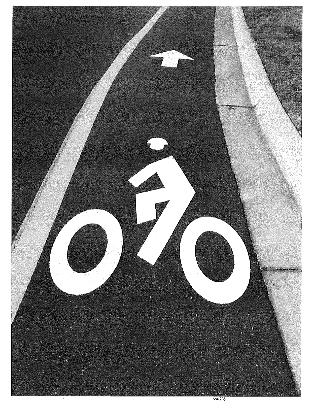 BikeWalkLee Blog: LeeDOT wants your feedback on new bicycle symbol ...