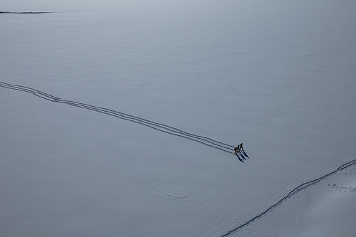 Twigs + Leaves: Tracing Jennie O Shelton