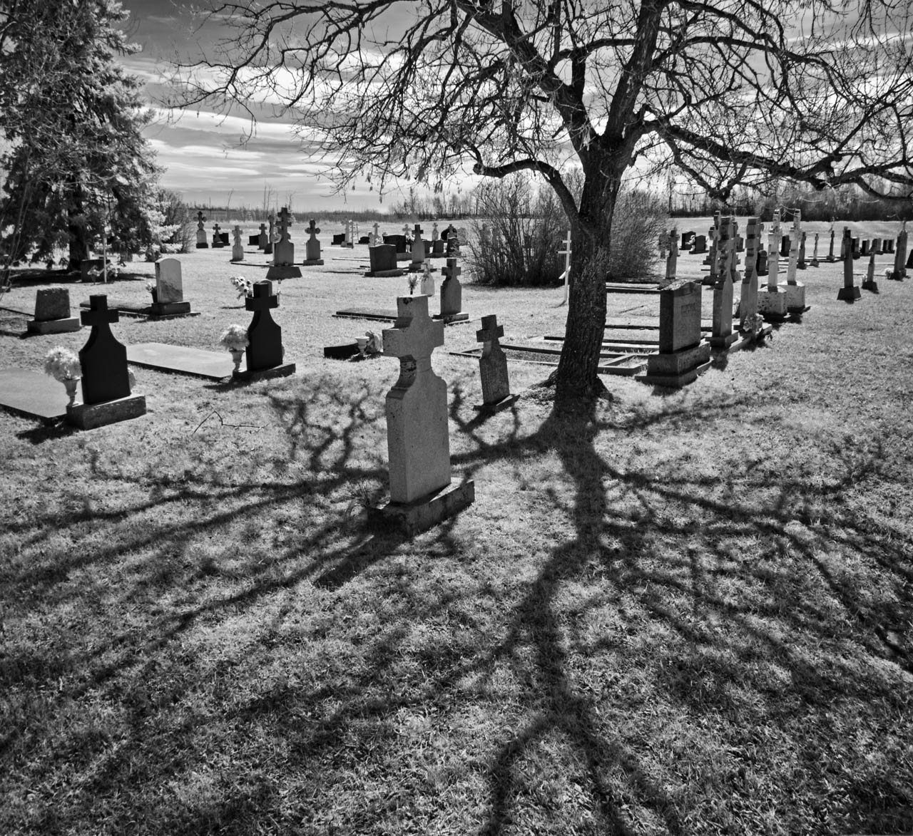 Jim Cox Photos: Tree and Graveyard St. Mary's Lamont County