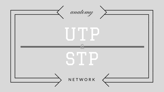 UTP & STP ~ Anatomy Network