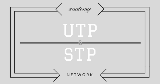 UTP & STP ~ Anatomy Network