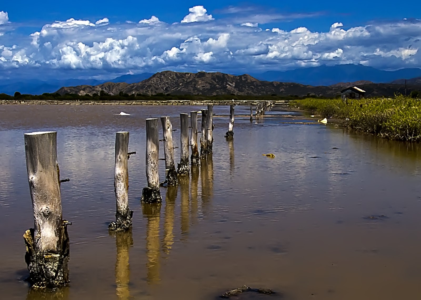 Visto al Pasar: El Proceso de Salinas