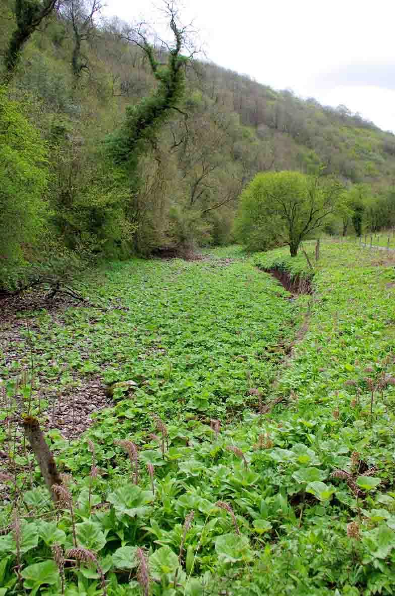 Out & About: Manifold Light Railway Track in the Hamps Valley.