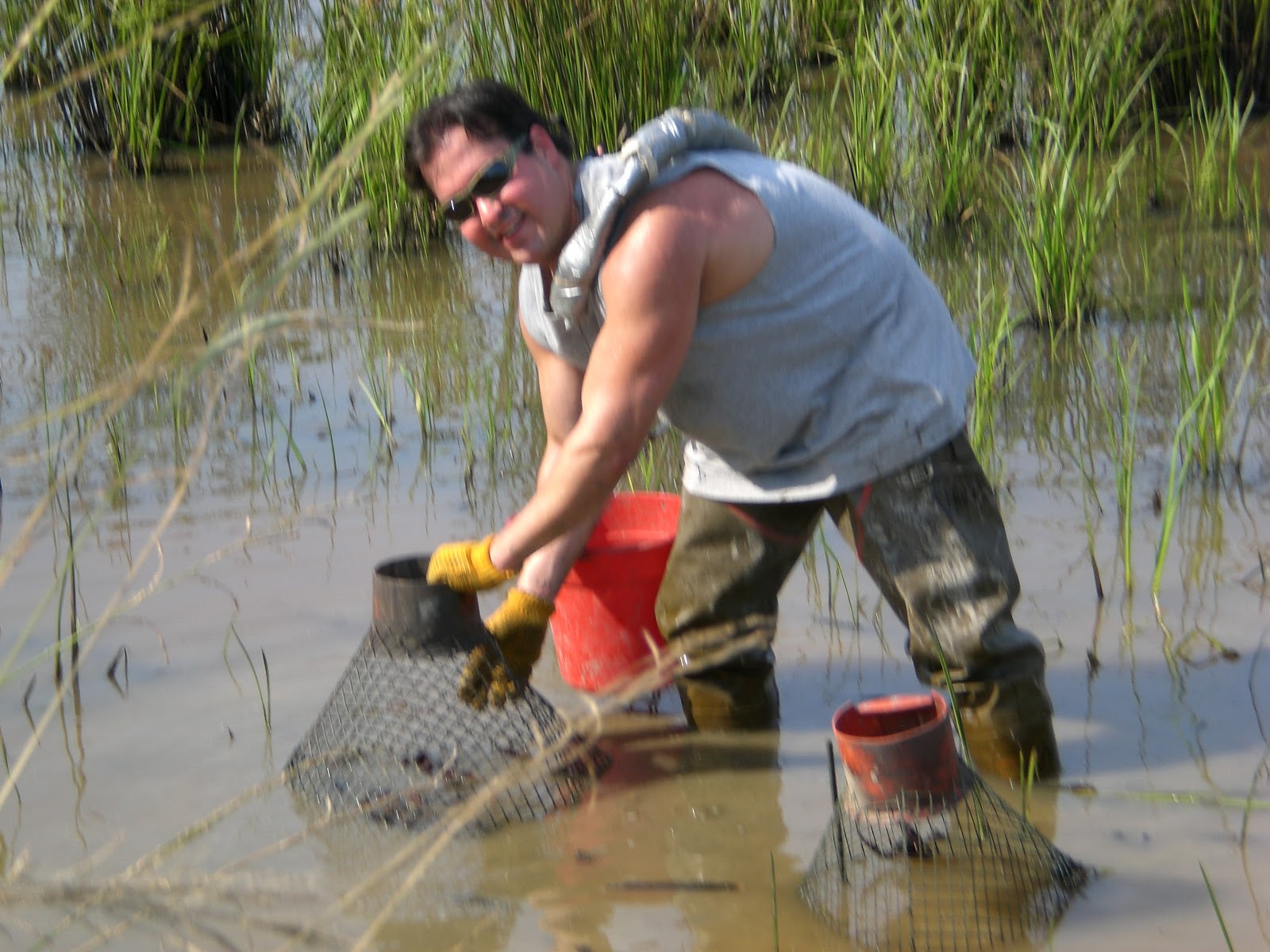 The Cajun life of Victor Vautrot: Crawfishing on the farm: May 2012 ...