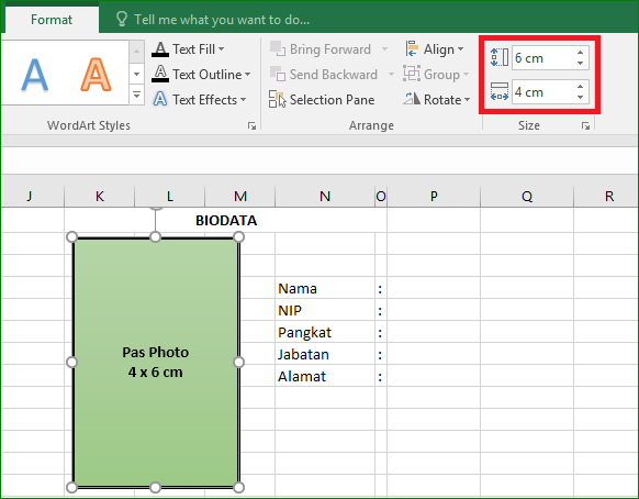 Cara Merubah Satuan Ukur (Ruler Units) pada Excel - ExcelManiacs