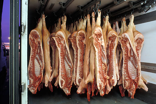 INTERNATIONAL BUSINESS