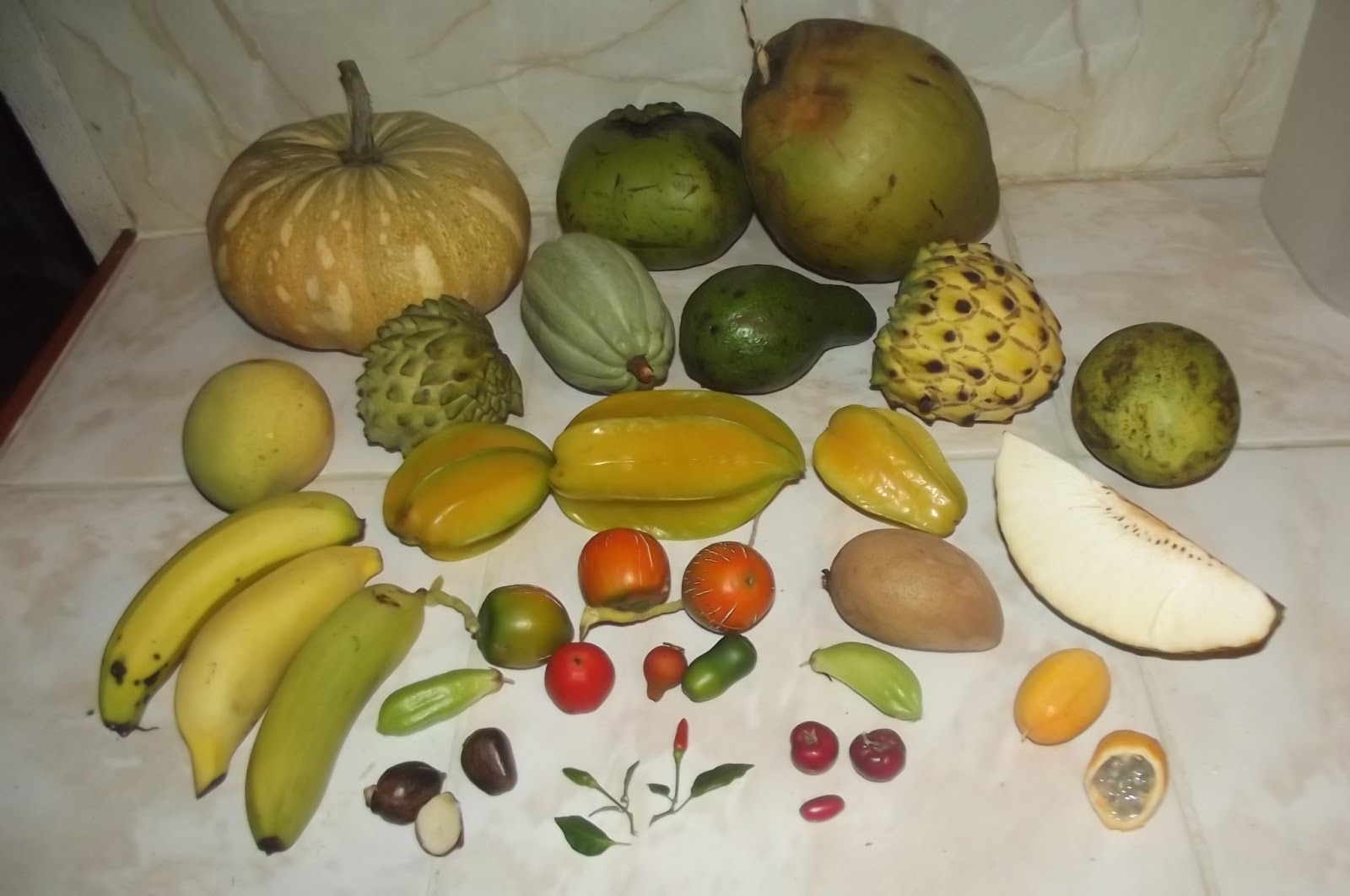 Thede Connection- HAITI/Zambia: Garden Update by Cory